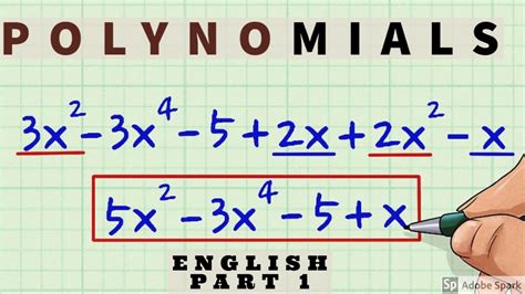 POLYNOMIALS BASIC CONCEPT CBSE SCERT YouTube