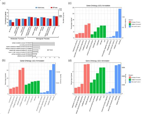 gene ontology go annotation of the transcriptome data a