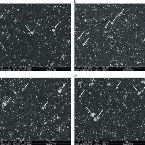 Typical Etched Microstructures From A The Casting Surface B Within Download Scientific