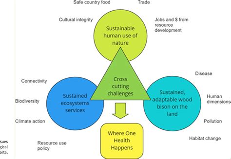 Figure 3 From A Reimagined One Health Framework For Wildlife