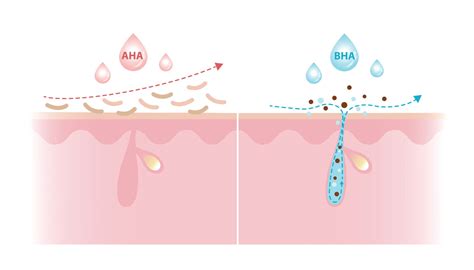 Professional Peels Dermaq Aesthetics