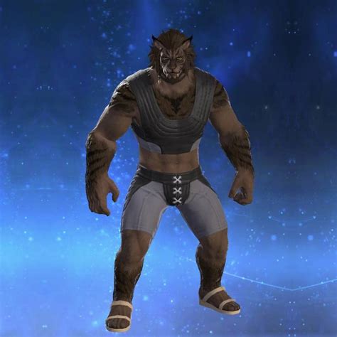 Hempen Undershirt FFXIV ARMOURY COLLECTION