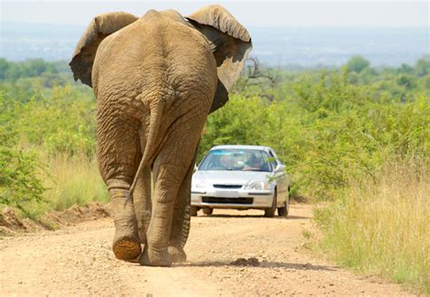 Klerksdorp Atrractions Klerksdorp Atrractions