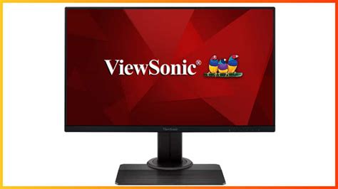 ViewSonic XG2431 Review 2025: Next-Level Motion Clarity
