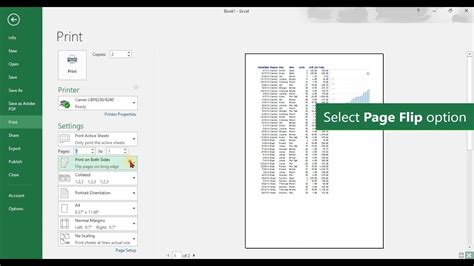 Lesson How To Print A Worksheet In Excel YouTube