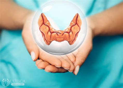 The Overactive Thyroid Hyperthyroidism All You Need To Know Octosoft Technologies