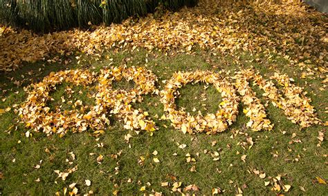 Ctp Printing Machine Ctp Machine For Printing Ctp Printing Machine Cron