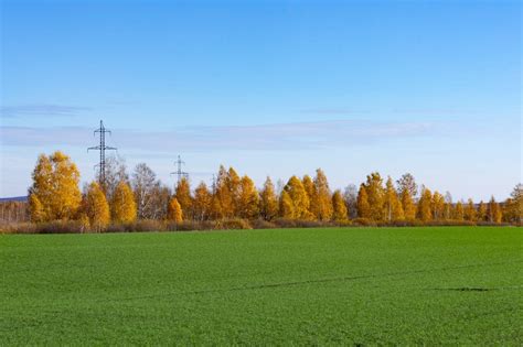 Октябрь в Алтайском крае Пикабу