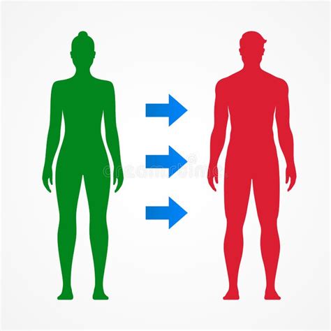 Gender Transition Stock Illustrations 325 Gender Transition Stock Illustrations Vectors