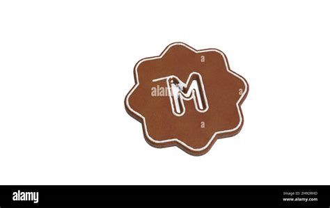 3d Rendering Of Gingerbread Cookie In Shape Of Symbol Of Manual Camera