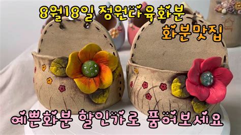 2024년 8월 18일 예쁜화분 할인가로 품어가세요정원다육화분 정원다육 다육화분 다육식물 수제공방분 하모분바이수흙이랑 Youtube