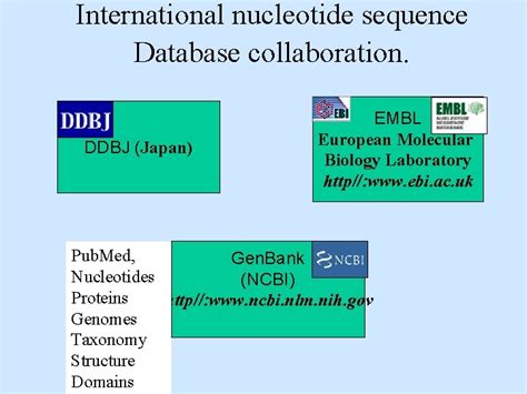 biological databases international nucleotide sequence database