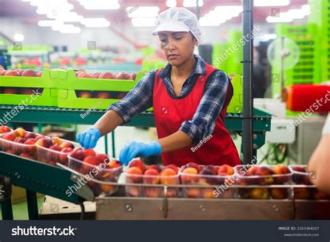 23 987 Sorting Fruit Images Stock Photos Vectors Shutterstock