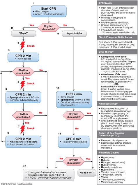 The Two Most Common Reversible Causes Of Pea Are Nicolas Has Abbott