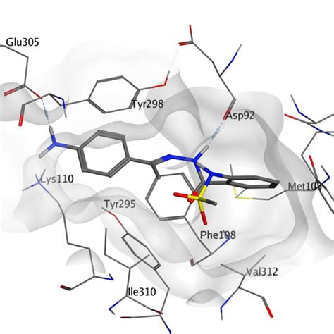 Putative Binding Mode Of Compound 7e Inside P2x4 Receptor Download
