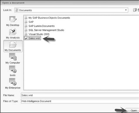 Sap Webi Editing And Opening Documents