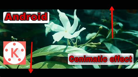 How To Make Cenimatic Effect In Kinemaster Full Tutorial Video Wanted Editing Youtube