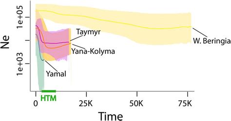 Bayesian Skyline Plot Based On Mitogenome Sequences Showing Effective