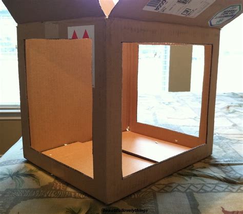 BeautifulLovelyThings DIY Light Box