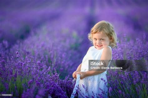 하얀 드레스와 라벤더 부케와 웃는 얼굴로 귀여운 얼굴과 좋은 머리와 모자에 라벤더 필드에 서 있는 곱슬 여자 귀여운에 대한 스톡