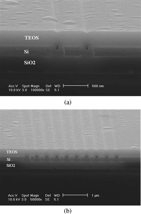 sem picture of the double slot waveguide and slots waveguide array
