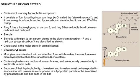 Cholesterol Its Structure Synthesis Of PPTX