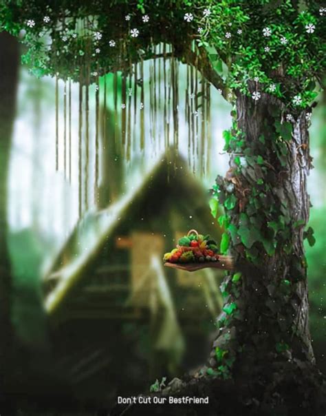 Tree CB Background 1080x1376 Photo 1863 CB Editz Free CB Background Images Picsart