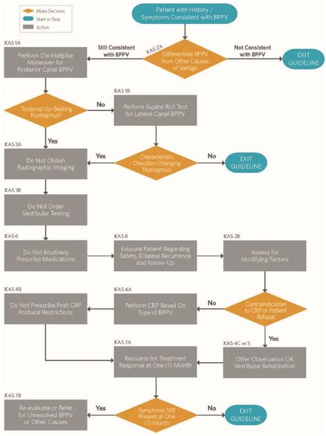 Algorithm Showing The Relationship Of Guideline Key Action Statements