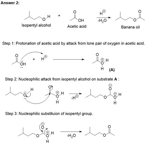 [solved] Synthesis Of Isopentyl Acetate Banana Oil Isopentyl Acetate Can Course Hero