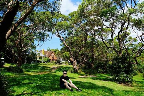 Vue开发记录，自定义组件使用v Model 知乎