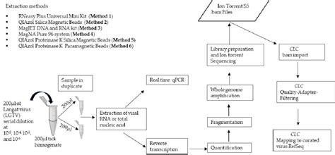 schematic representation of the experiment design used for evaluating