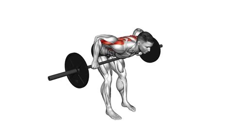 Barbell Bent Over Wide Grip Row Ultimate Video Guide And Tips
