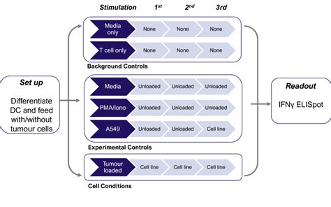 Dendritic Cell Assays Nexus