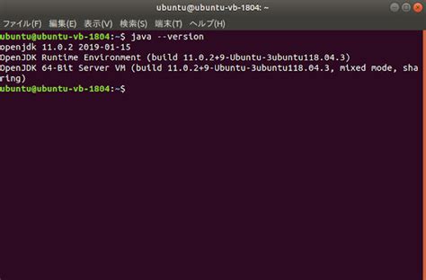 install openjdk 11 on ubuntu 20 04 kizapixels