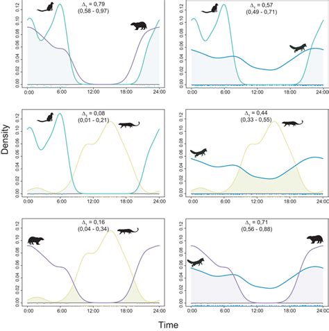 Kernel Density Plots And Temporal Overlap Between Mesocarnivores In The Download Scientific