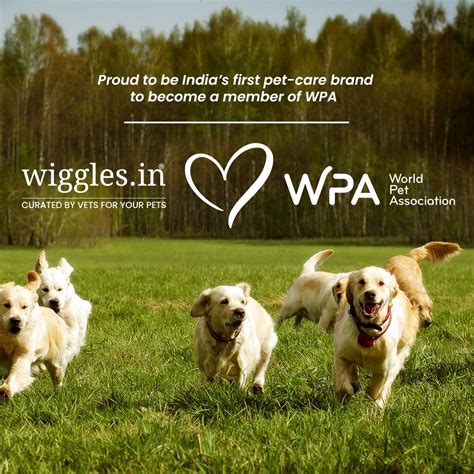 Dhruv Anand Posted On Linkedin