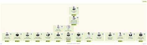 Pela Organizational Structure Interactive Chart Organimi