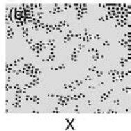 Numerically Simulated In Three Dimensions Field Distorted Turing Download Scientific Diagram
