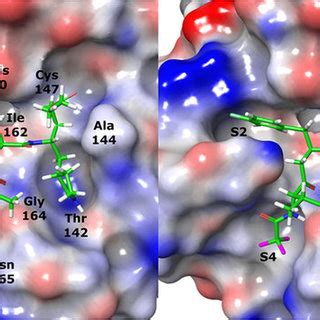 Structures Of Rupintrivir And Compound 9 At The Ev71 3c Protease