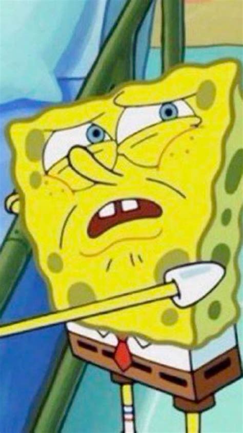 Spongebob Disgusted Spongebob Funny Pictures Spongebob Funny Cute Memes