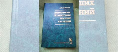 Продаю книгу Л. И. Лотовой "Морфология и анатомия высших... купить в ...