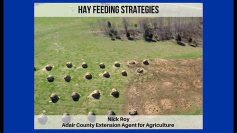 Hay Feeding Strategies - YouTube