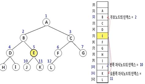 자료구조 10 2 이진트리의 구현 배고픈 개발자
