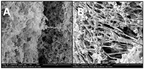 Gels Free Full Text Detection Of Gel Forming Polymers Via Calcium