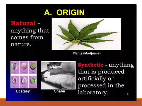 National Drug Education Program Ndep 2022 Pptx