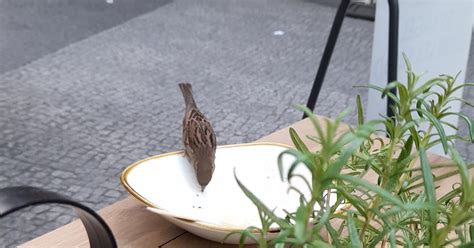 Living Innovation Lab Green Infrastructure Examples Of Green