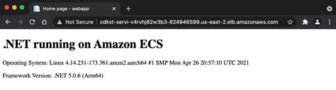 Build And Deploy NET Web Applications To ARM Powered AWS Graviton Amazon ECS Clusters Using