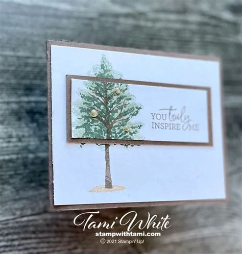 Video Inspiring New Catalog Cards Stampin Up Demonstrator Tami
