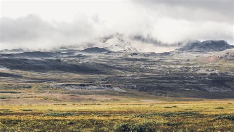 Sustainable Forestry Brings Trees Back To Iceland Be Sustainable