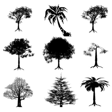 Premium Vector Psd Of Tree Vectors